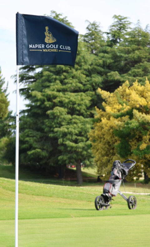Home | Napier Golf Club