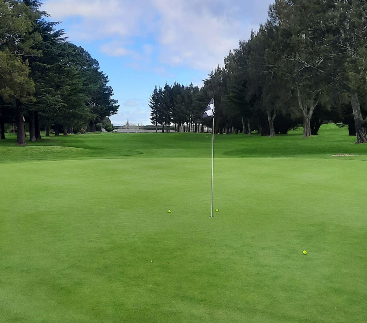 Home | Napier Golf Club