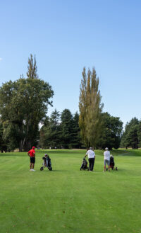 Home | Napier Golf Club