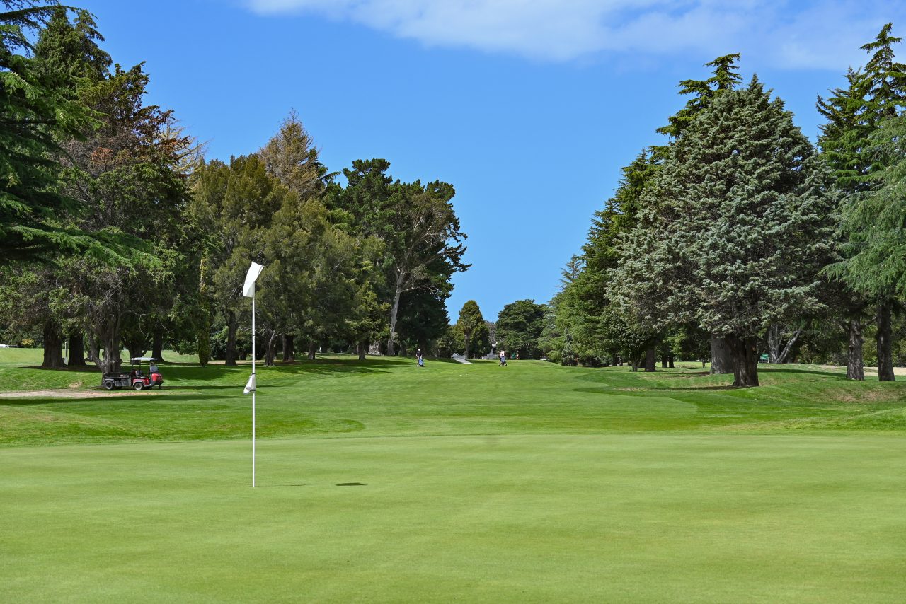 Reciprocal Playing Rights | Napier Golf Club